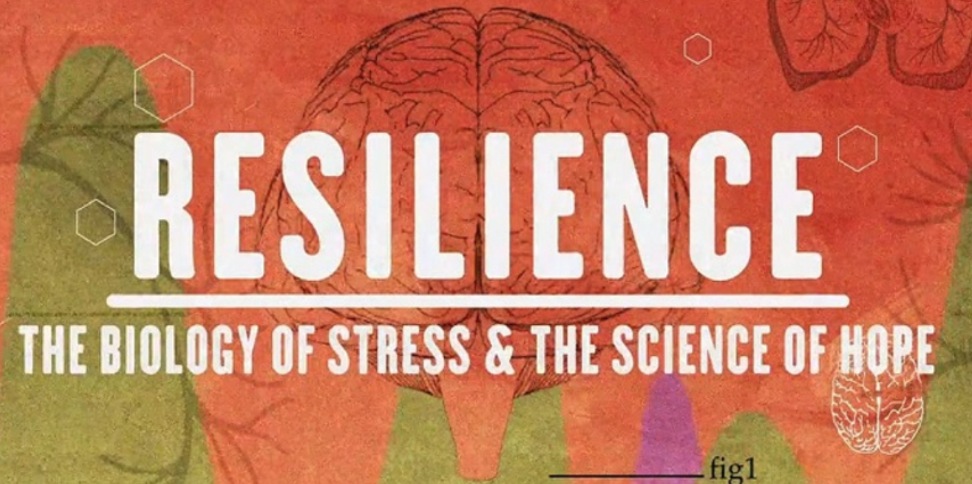 Viewing of Resilience: The Biology of Stress & the Science of Hope ...
